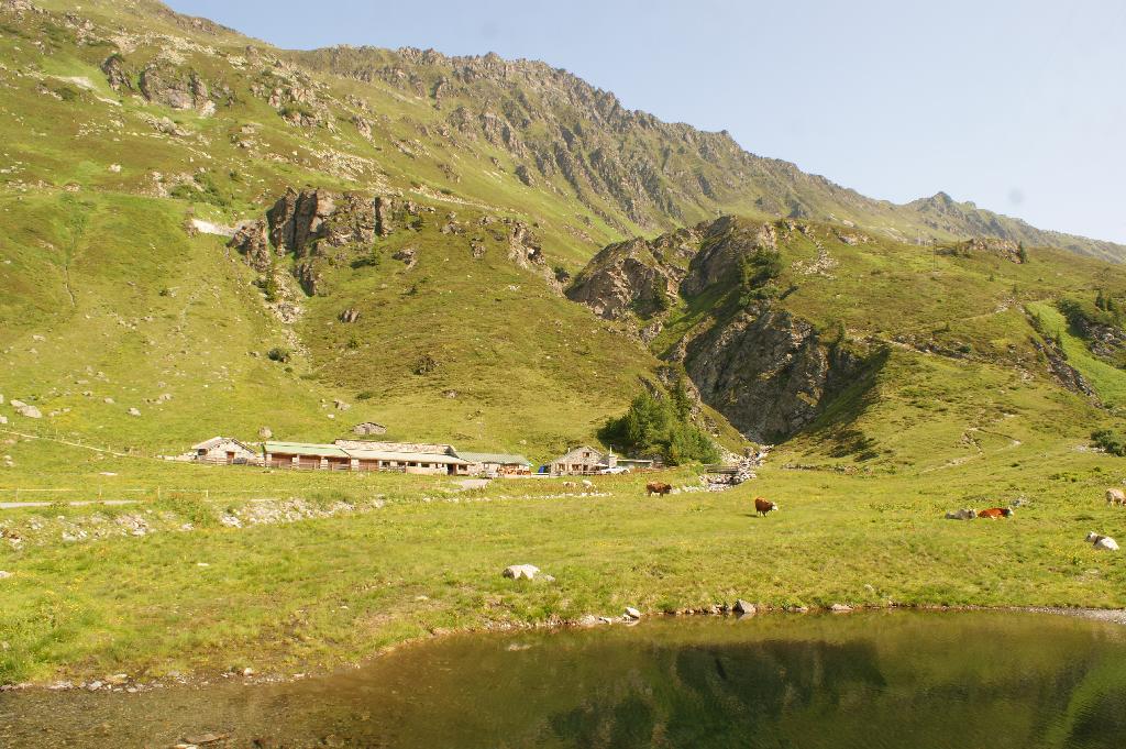 Alpe Verbella | FreizeitMonster