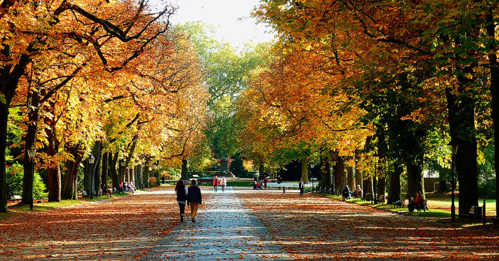 Was kann man machen? - Die Top 80 Freizeitaktivitäten | FreizeitMonster