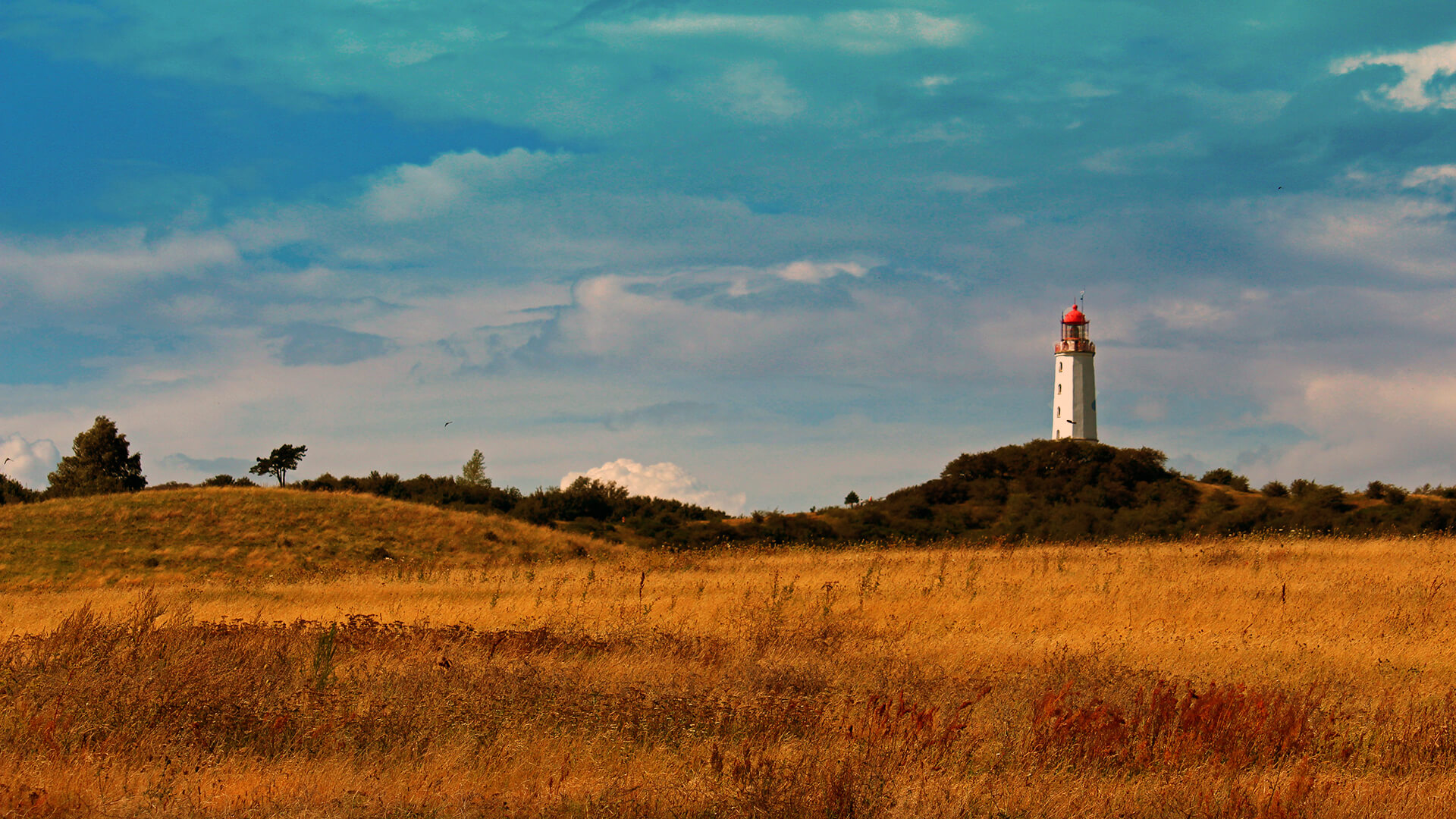 Hiddensee Sehenswürdigkeiten - Top 8 auf Hiddensee | FreizeitMonster