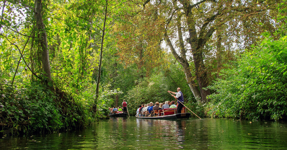 Spreewald Sehenswürdigkeiten - 8 tolle Ausflugsziele | FreizeitMonster